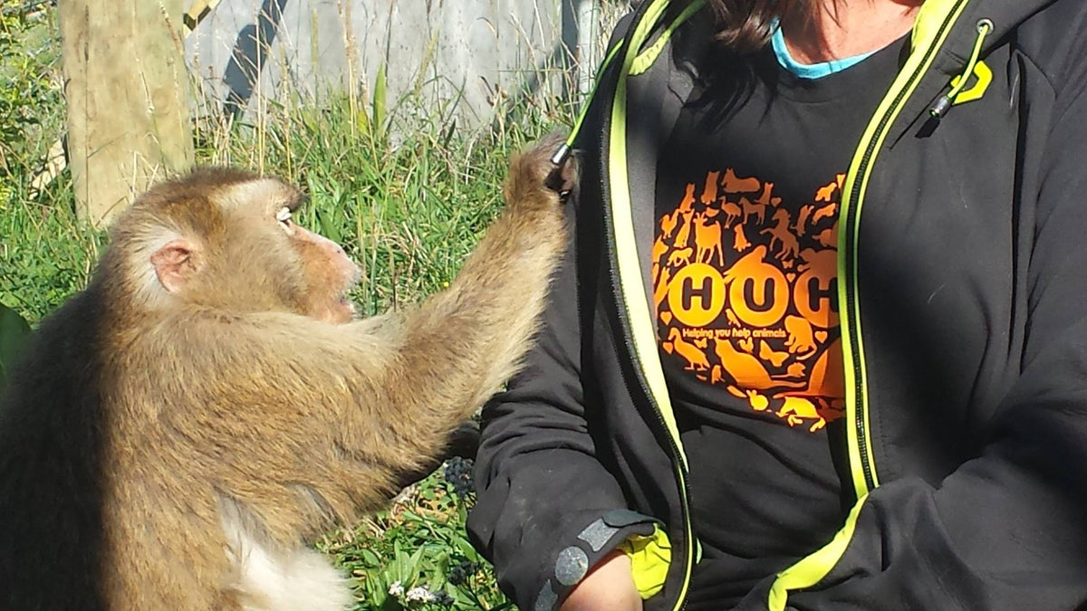 Support Sanctuary Monkeys – HUHA Online Store