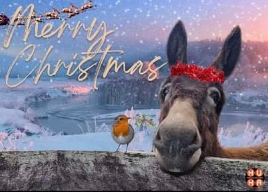 Franklin Christmas Cards – HUHA Online Store
